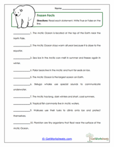 Chill Check Worksheet - Arctic Ocean True or False Review