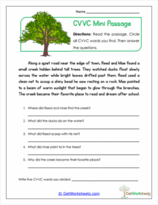 CVVC Patterns Worksheets - GetWorksheets.com