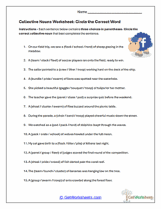 Circle the Collective Worksheet - Choosing Collective Nouns