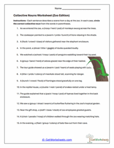 Zoo Edition Worksheet - Collective Nouns for Animals