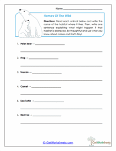 Homes of the Wild Worksheet - Animal Habitats & Conservation