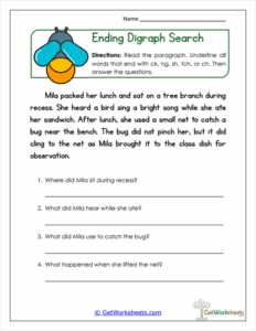 Letter Teams Worksheet - Ending Digraphs in Context