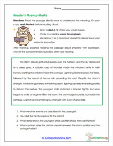 Reader's Fluency Marks Worksheet - Annotating for Expression and Meaning
