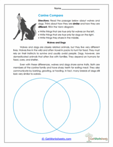 Wolves and Dogs Worksheet - Compare and Contrast Skills