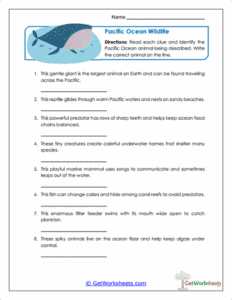 Ocean Creatures Worksheet - Pacific Marine Life Identification