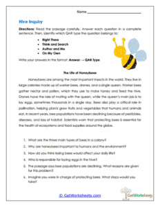Hive Inquiry Worksheet - QAR Strategies & Comprehension
