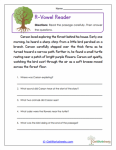 Radar Reader Worksheet - R-Controlled Vowels and Comprehension