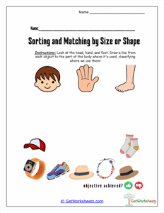 Head, Hand, Foot Sorting Worksheet - Body Part Functions
